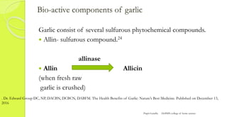 Ida garlic presentation | PPT