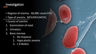 Iron deficiency anemia in pregnancy | PPTX