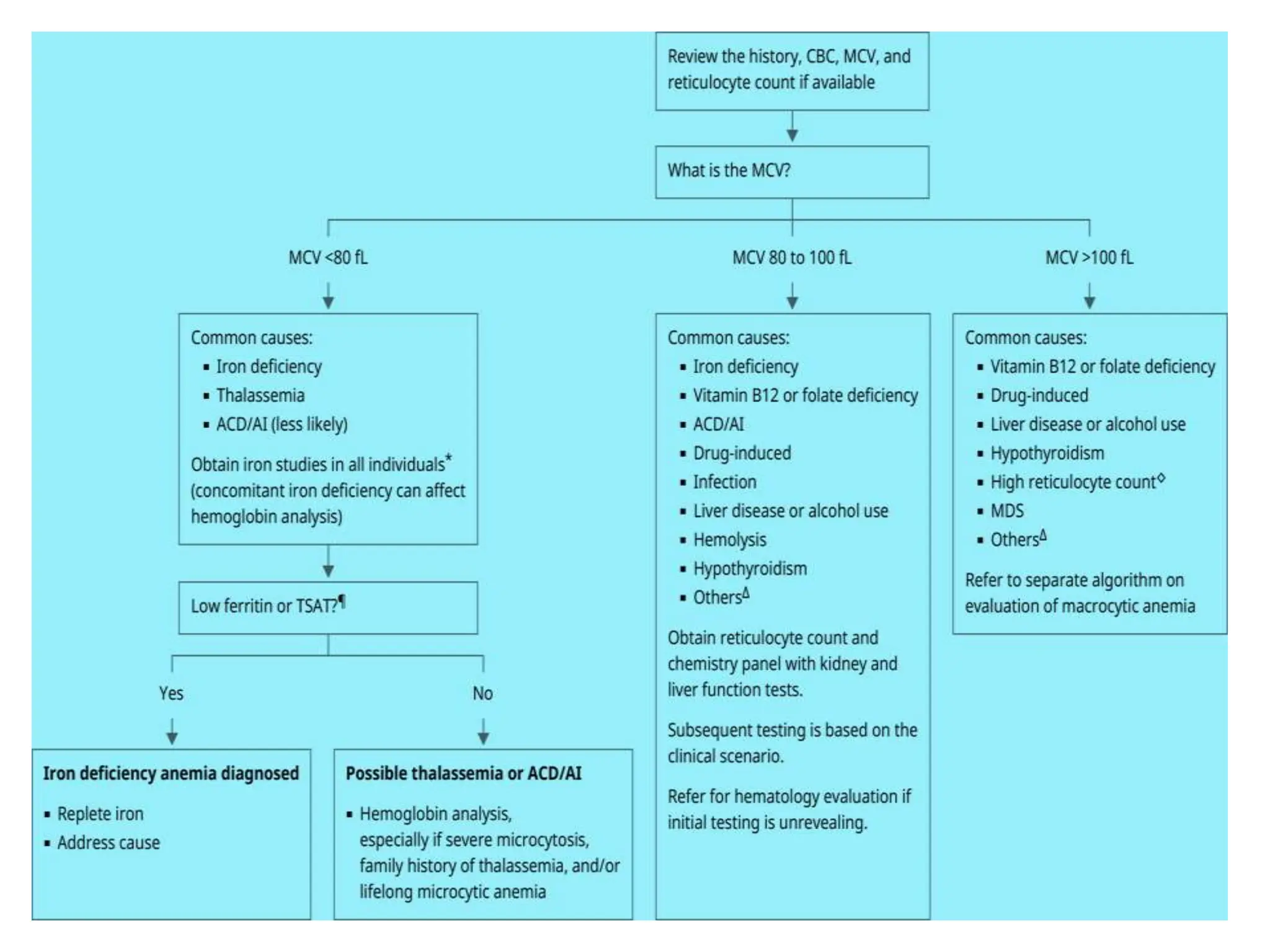 Iron deficiency anemia in pregnancy.pptx
