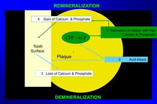 CASEIN PHOSPHO PEPTIDE(CPP | PPT