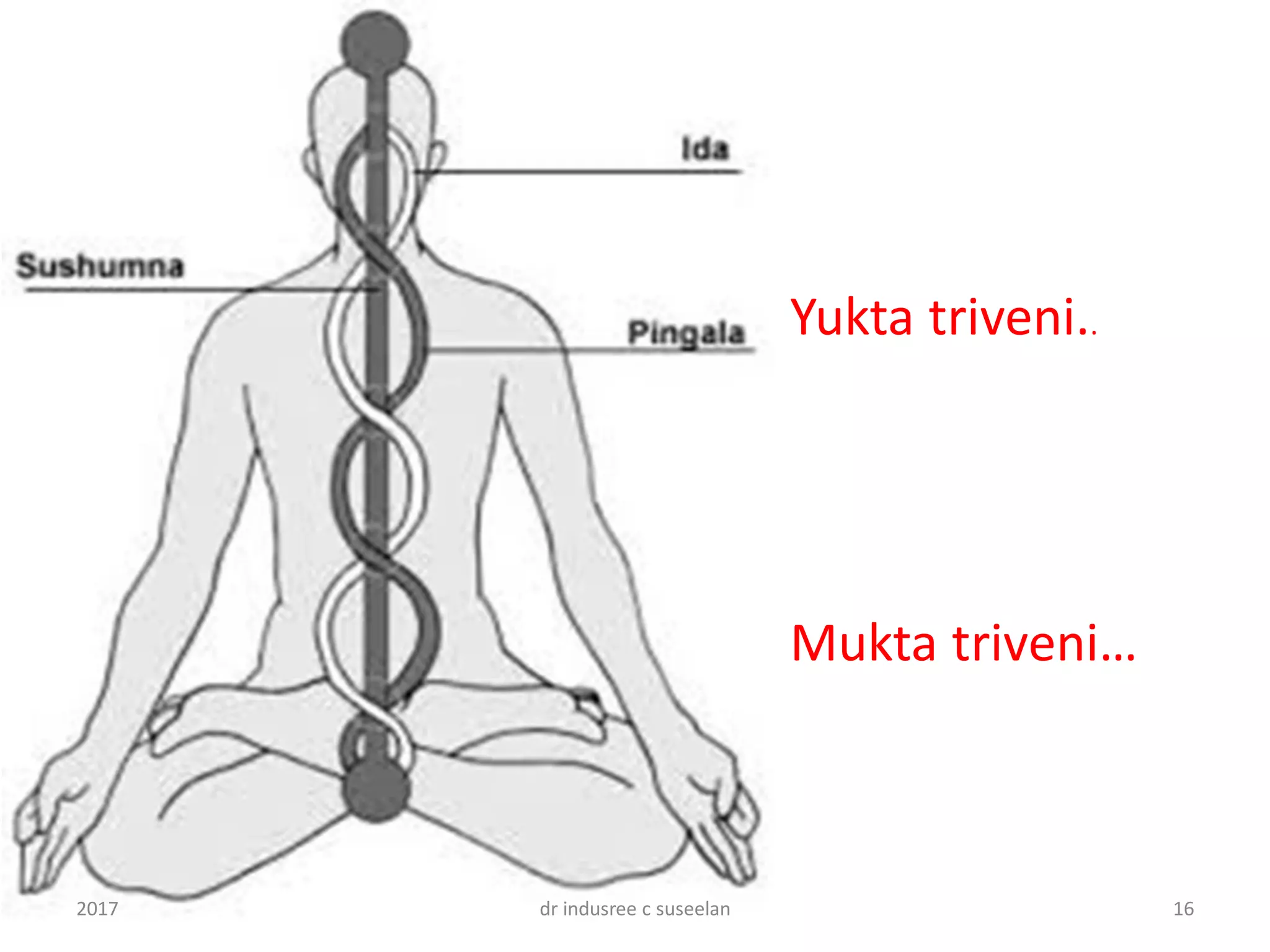 Ida pingala sushumna nadi | PDF