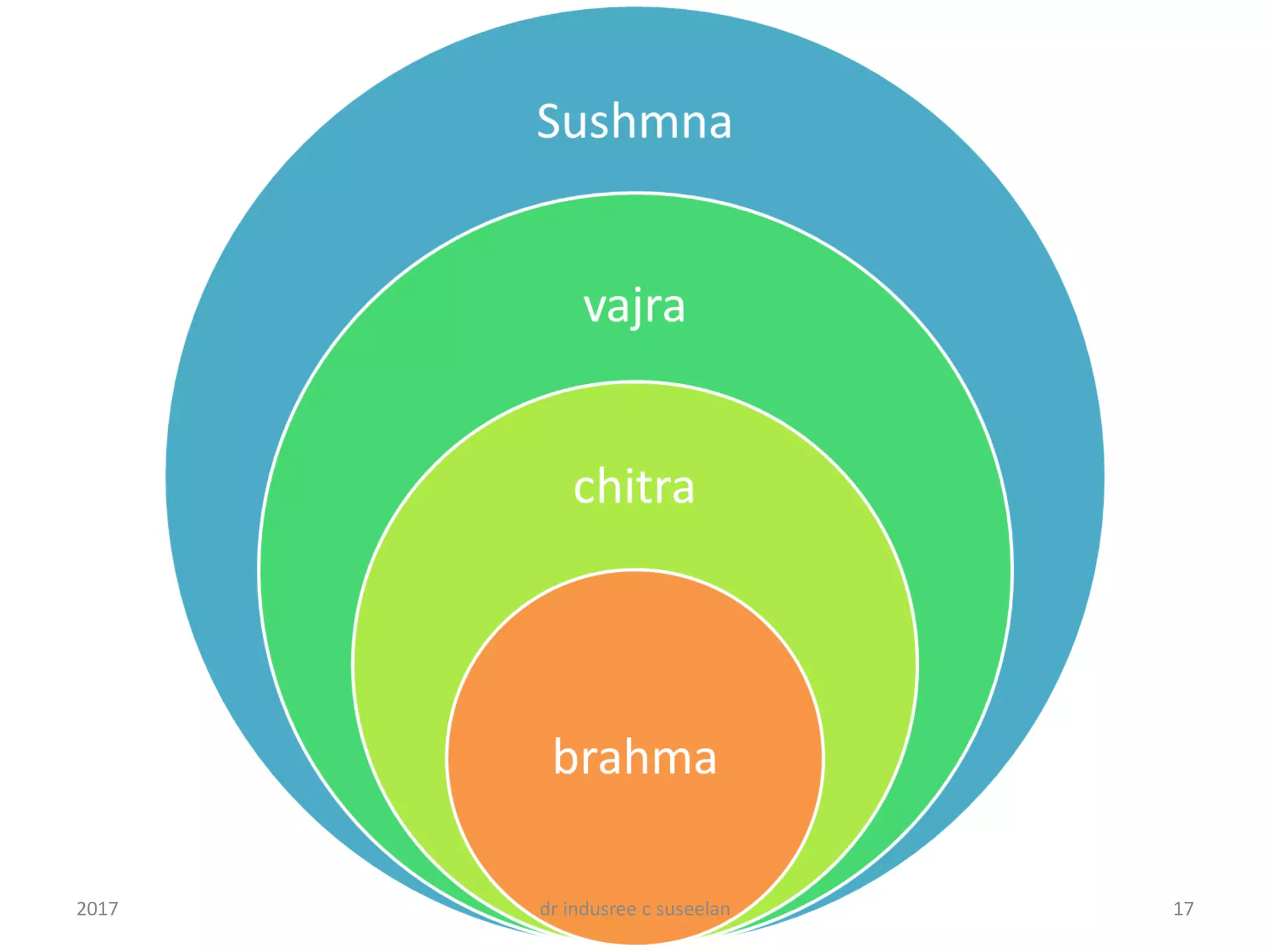 Ida pingala sushumna nadi | PDF