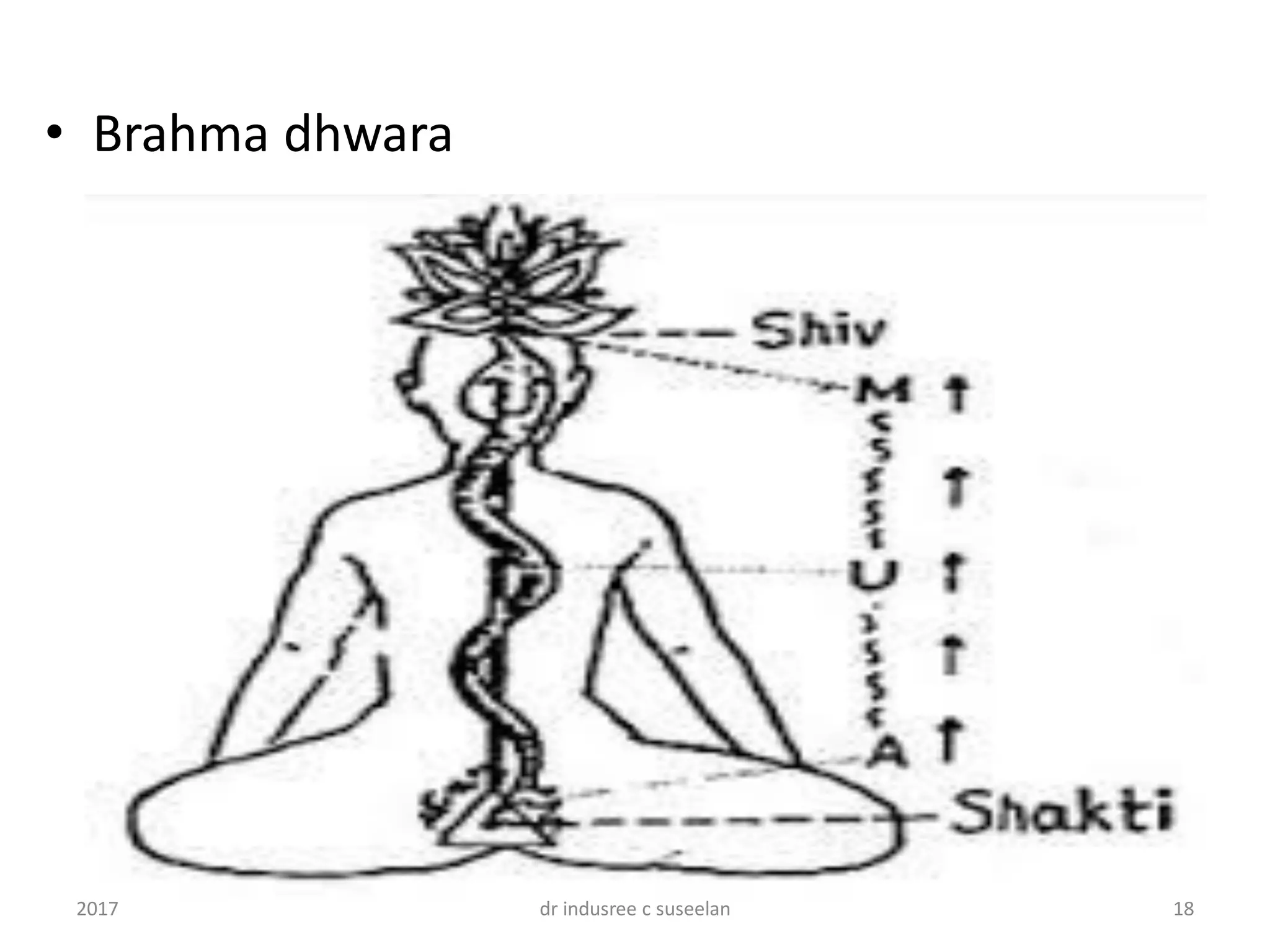 Ida pingala sushumna nadi | PDF