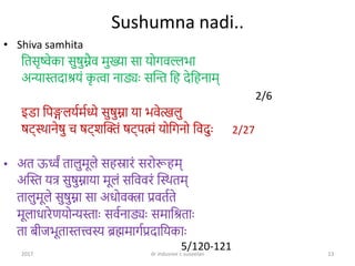 Ida pingala sushumna nadi | PDF