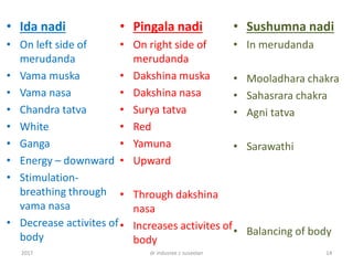 Ida pingala sushumna nadi | PDF