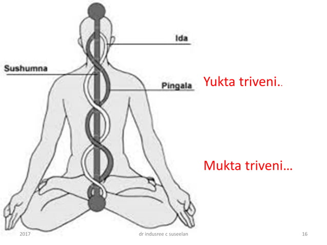 Ida pingala sushumna nadi | PDF