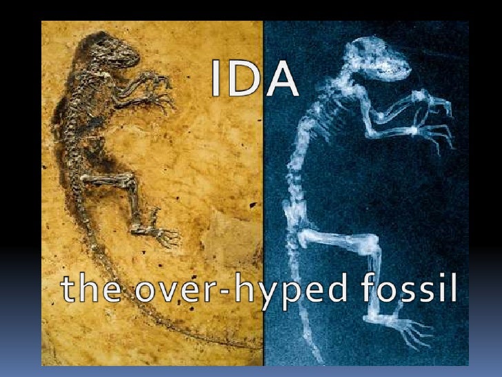 Ida The Over Hyped Fossil
