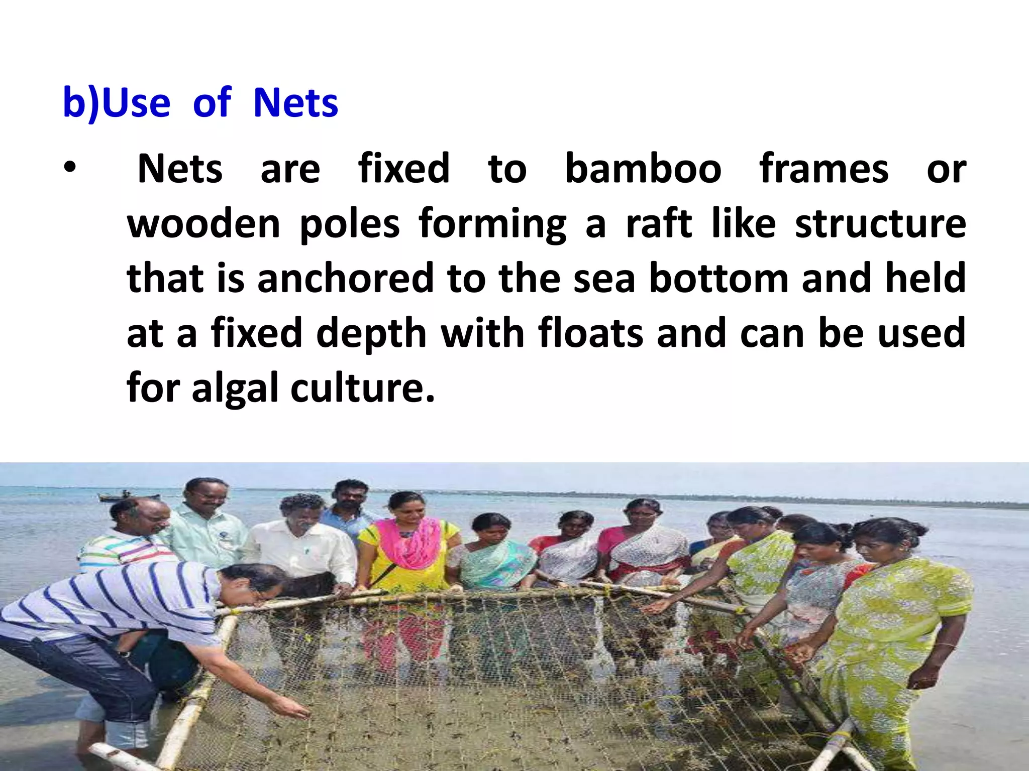 Algal Culture : Scope and Methods SMG | PPTX