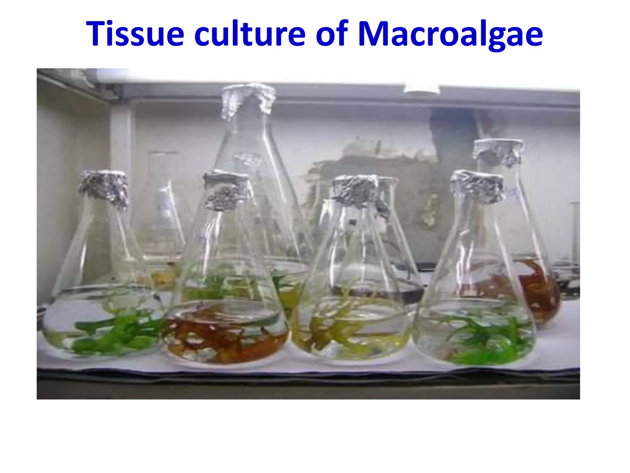 Algal Culture : Scope and Methods SMG | PPTX