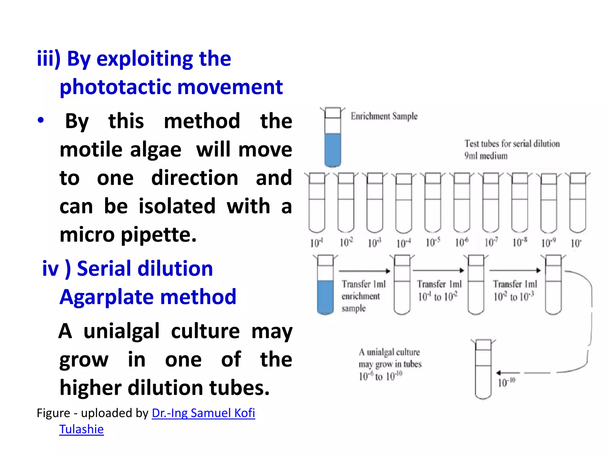 Algal Culture : Scope and Methods SMG | PPTX