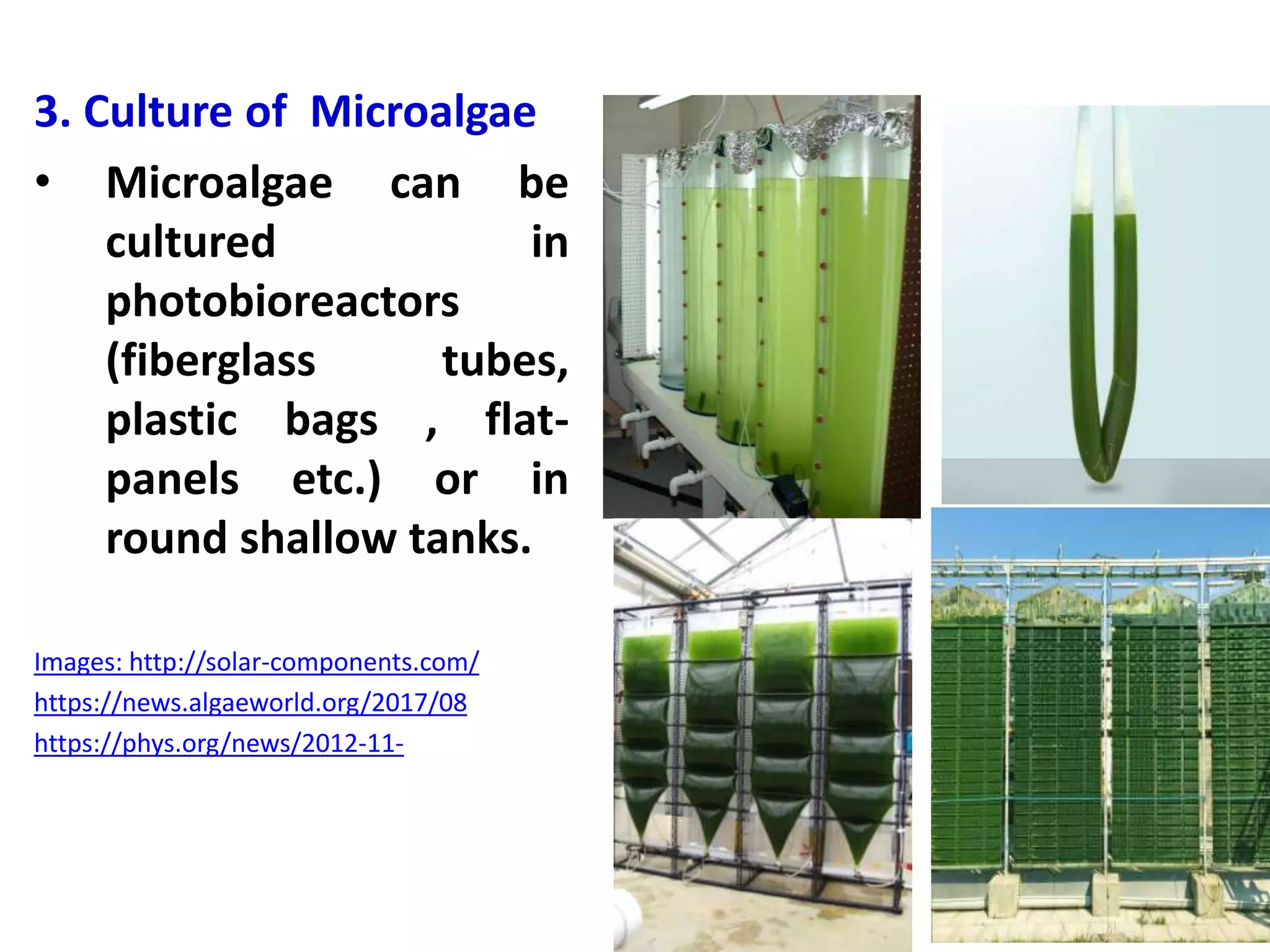 Algal Culture : Scope and Methods SMG | PPTX