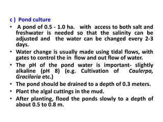 Algal Culture : Scope and Methods SMG | PPTX