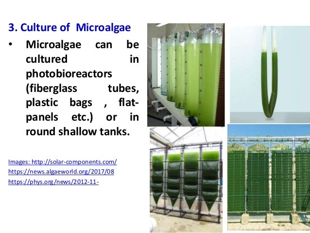 Algal Culture : Scope and Methods SMG
