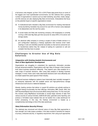 Idc big data whitepaper_final | PDF