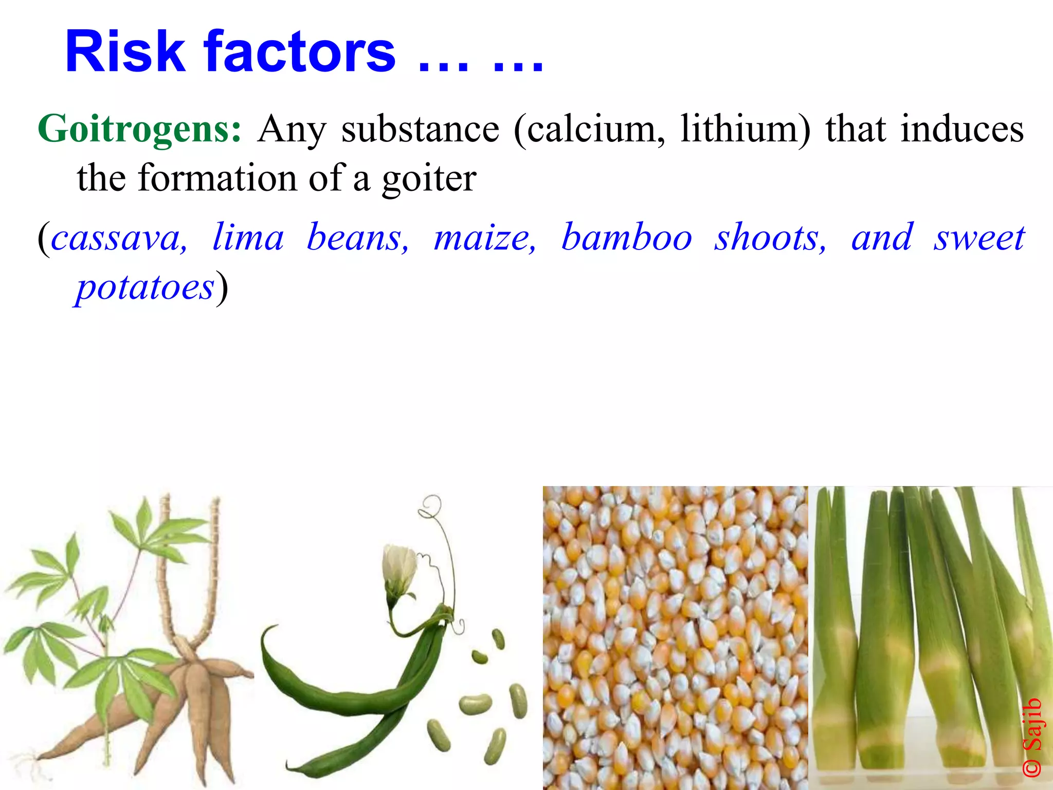 Iodine Deficiency Disorder by sajib reza | PPTX