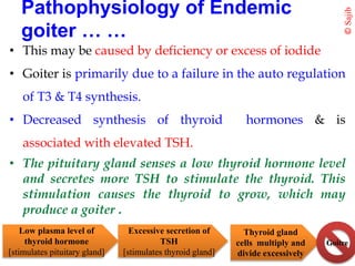 Iodine Deficiency Goitre