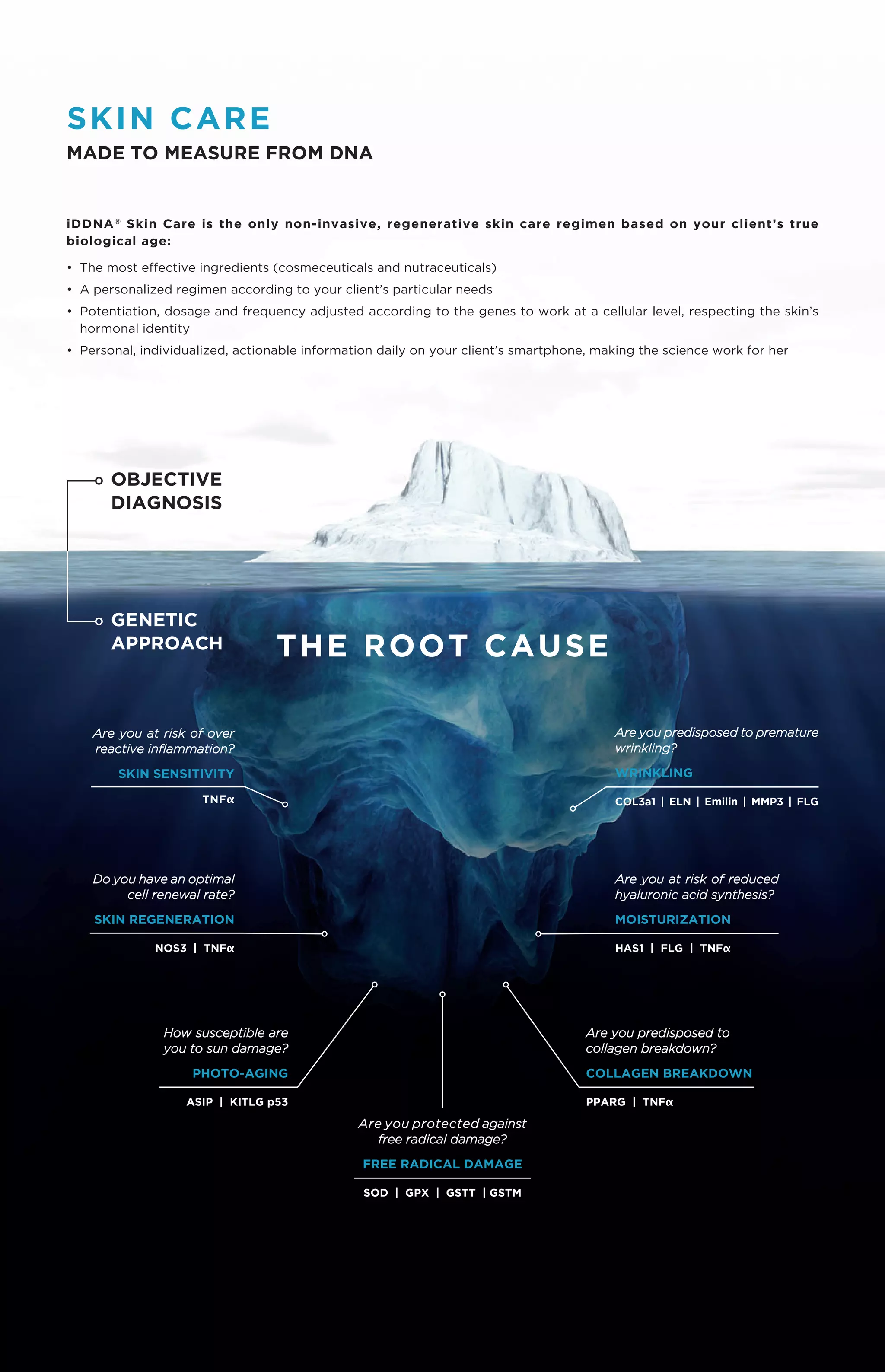 iDDNA®, the first-ever epigenetic Skin Care made to measure from DNA. | PDF