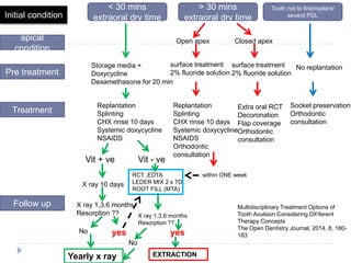 storage media or avulsion media review | PPT