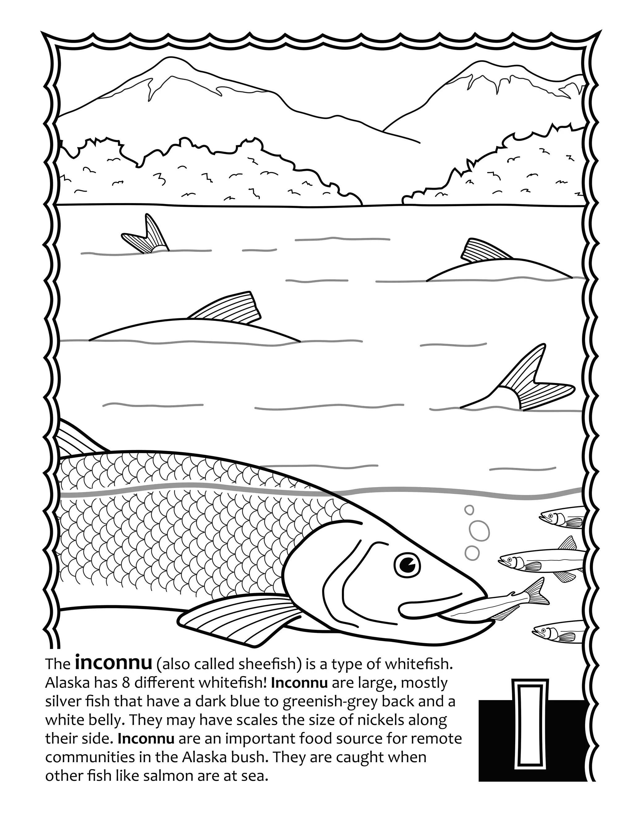 Alaska Fish ABC's Coloring Book | PDF