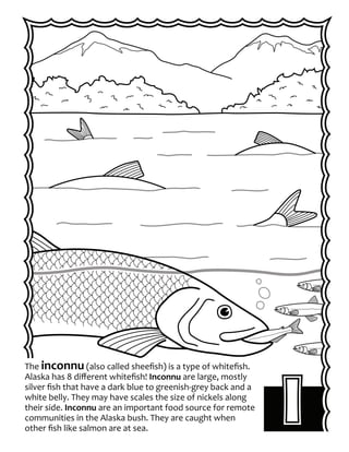Alaska Fish ABC's Coloring Book | PDF