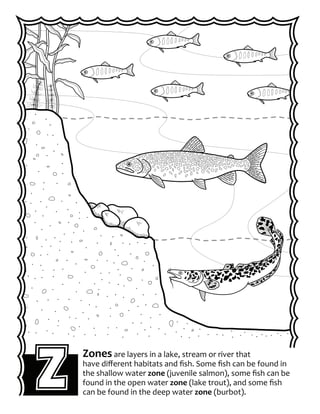 Alaska Fish ABC's Coloring Book | PDF