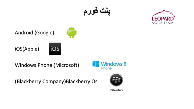 Develop Mobile App | PPTX