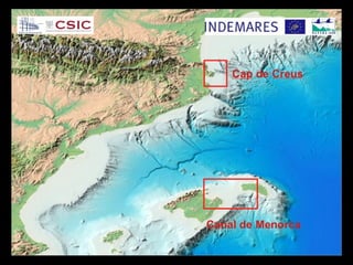 Descobriment hàbitat marí - icm-csic | PPT