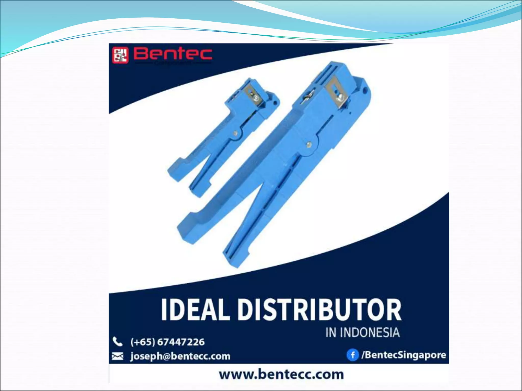 IDEAL Distributor in Japan | PPT