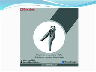 IDEAL Distributor in Japan | PPT