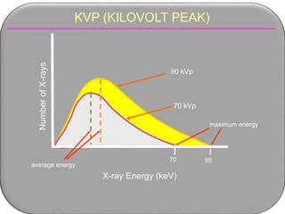Ideal radiography | PPTX