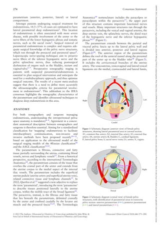 IDEA Parametrio Ultrasound in Obstet Gyne - 2023 - Guerriero - Addendum ...