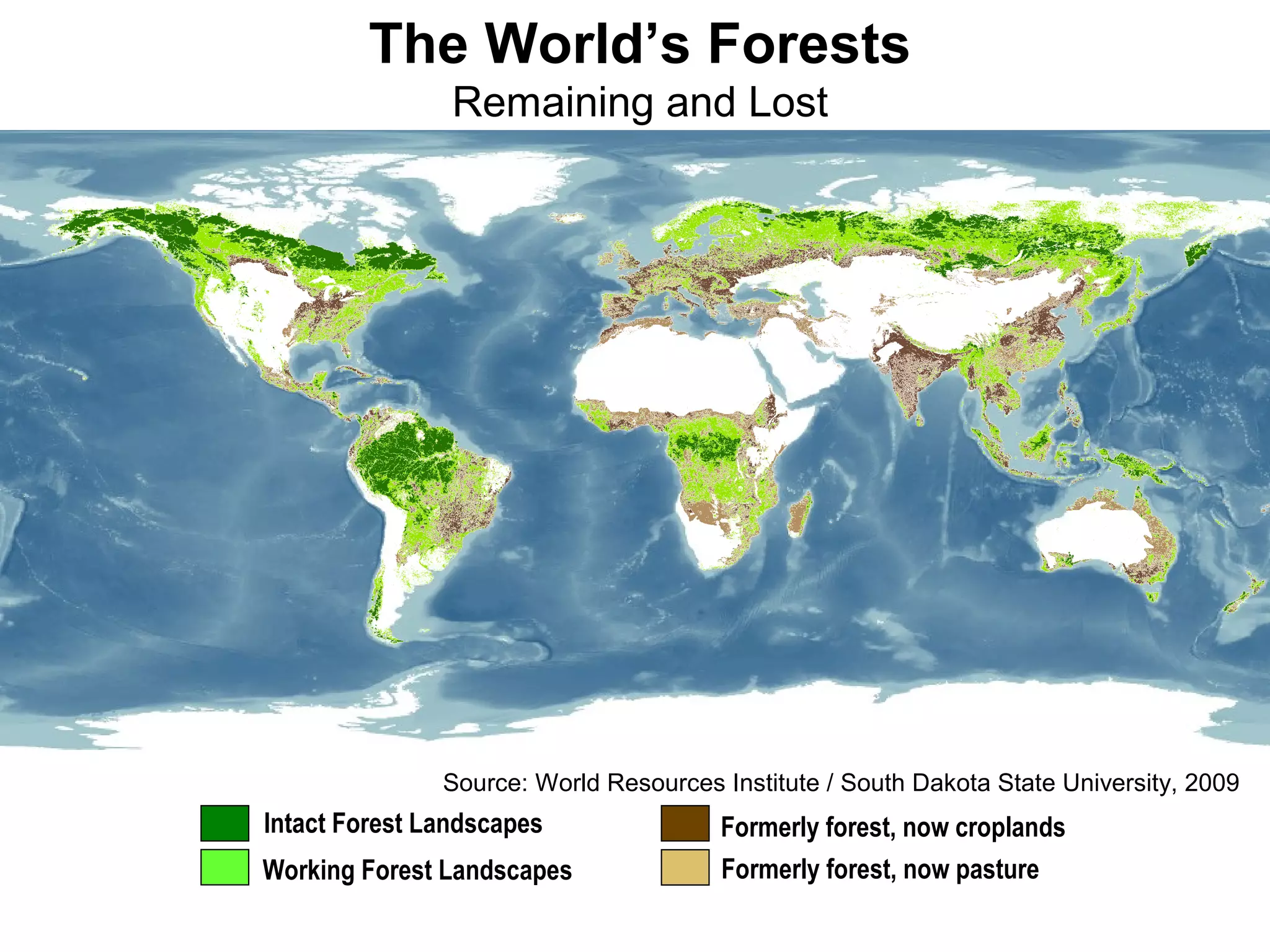 WRI (high res.map)- Global Forest Cover Map | PPT