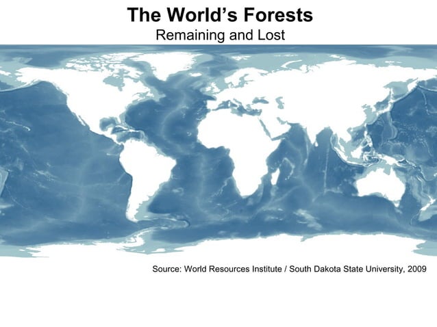 WRI (high res.map)- Global Forest Cover Map | PPT