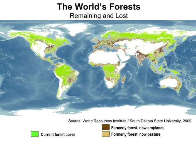 WRI (high res.map)- Global Forest Cover Map | PPT