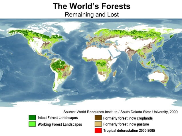 WRI (high res.map)- Global Forest Cover Map | PPT