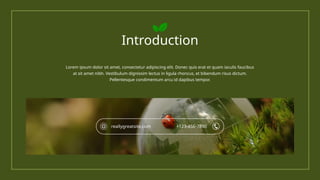Ideathon -Environment case competition template | PPTX