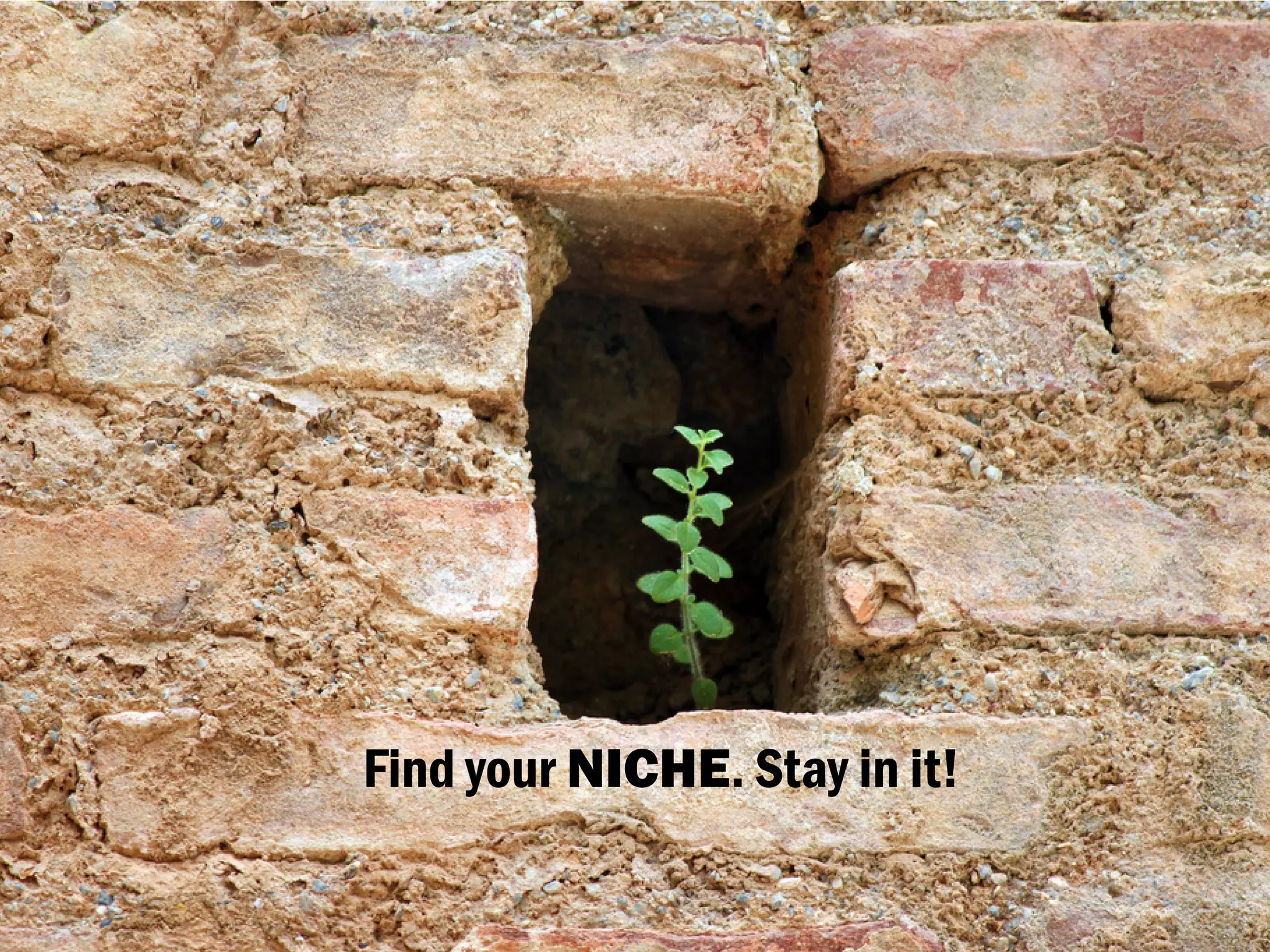 Insights from HCMC Ideation Bootcamp 2012 | PDF