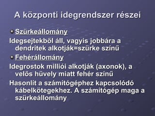 Idegrendszerünk működése - 8. osztály (biológia) | PPT