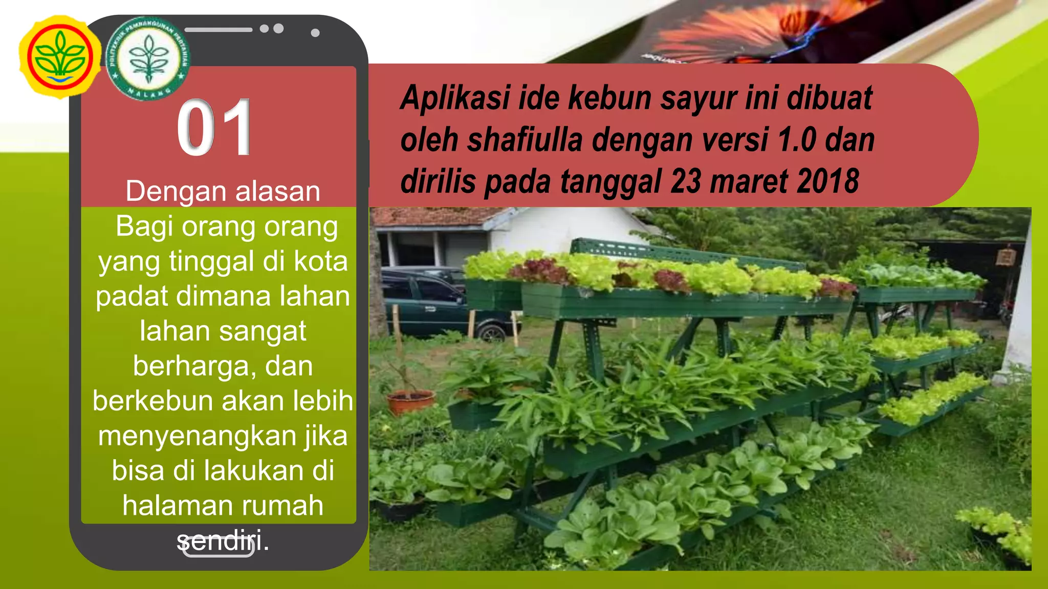 Ide kebun sayur | PPTX