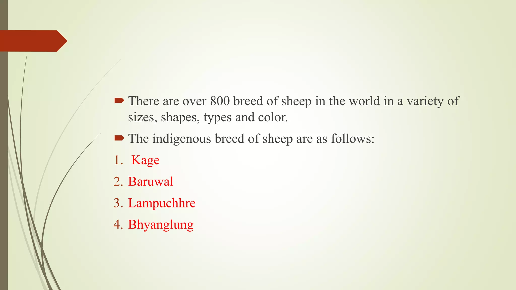 identfy indigenous and exotic breed of sheep.pptx