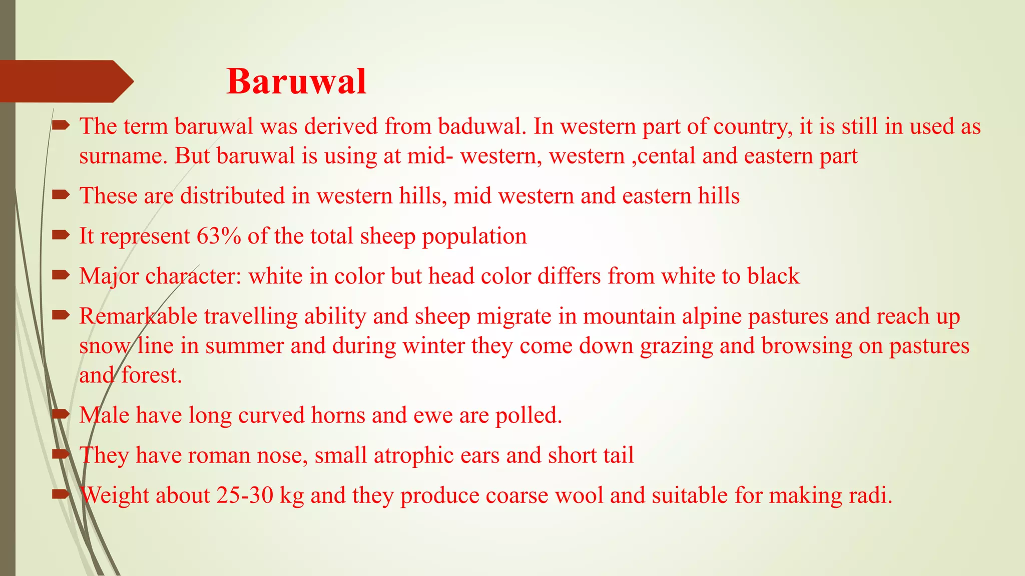 identfy indigenous and exotic breed of sheep.pptx