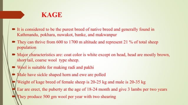 identfy indigenous and exotic breed of sheep.pptx | Dogs | Pets