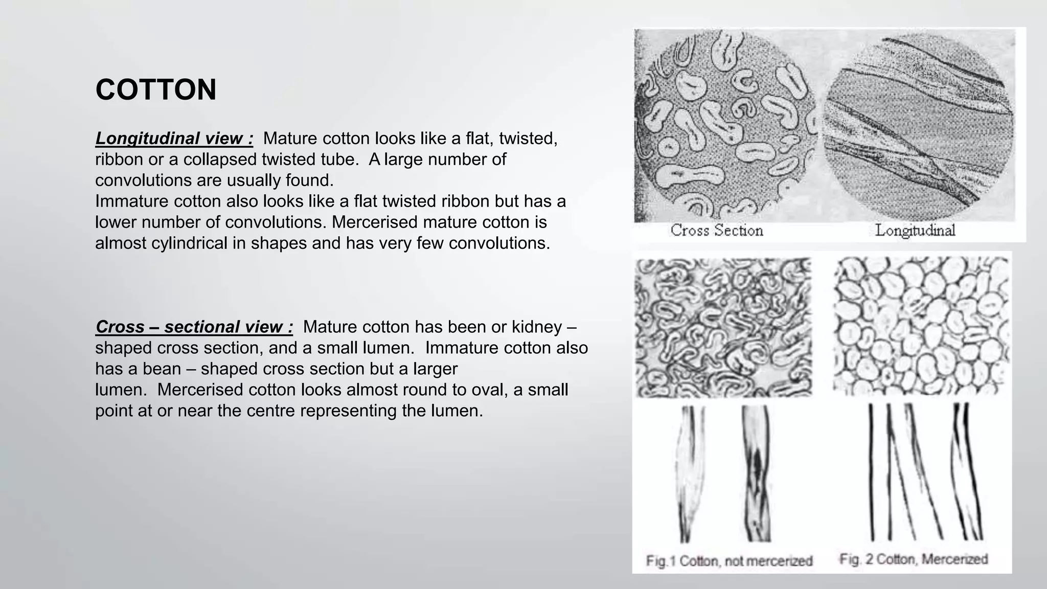 Identication of textile fibers | PPTX