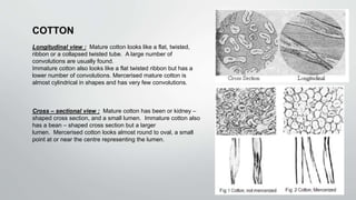 Identication of textile fibers | PPTX