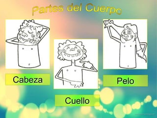 Identidad corporal | PPT