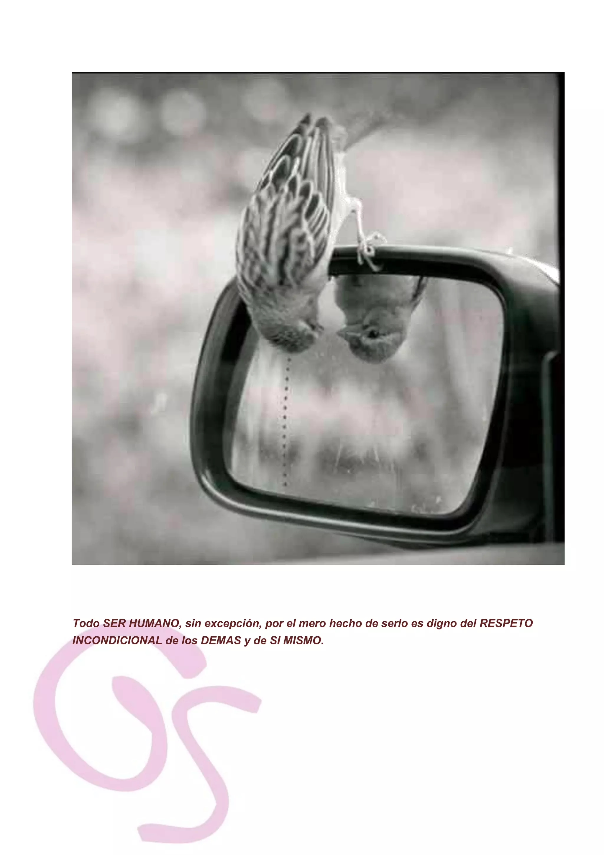 Identidad y autoestima | PDF
