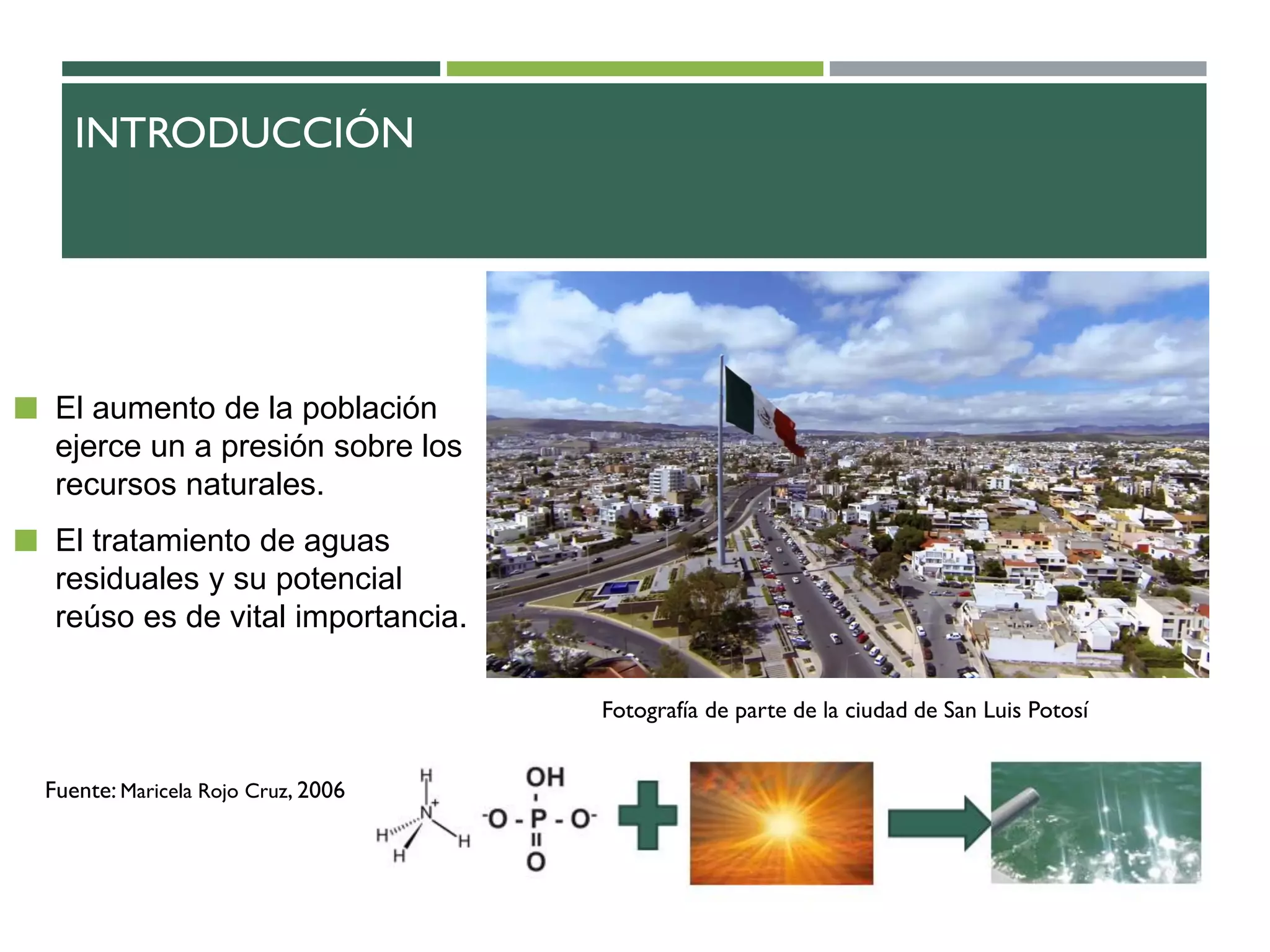 Identificación-de-microalgas-PCR.pdf