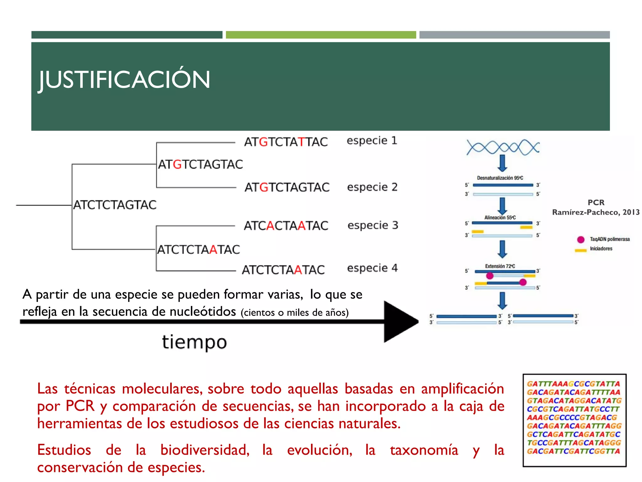 Identificación-de-microalgas-PCR.pdf