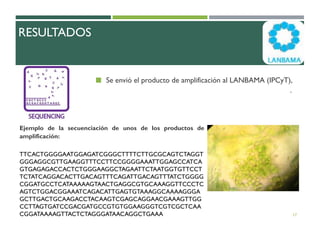 Identificación-de-microalgas-PCR.pdf