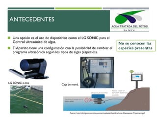 Identificación-de-microalgas-PCR.pdf